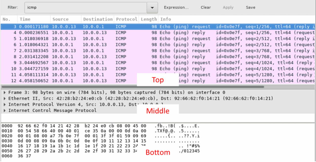 CISCO CyberOps lab – Using Wireshark to Examine Ethernet Frames ...